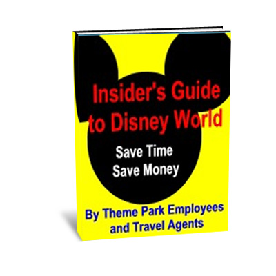 Disney Guide Book - Guide To Disney